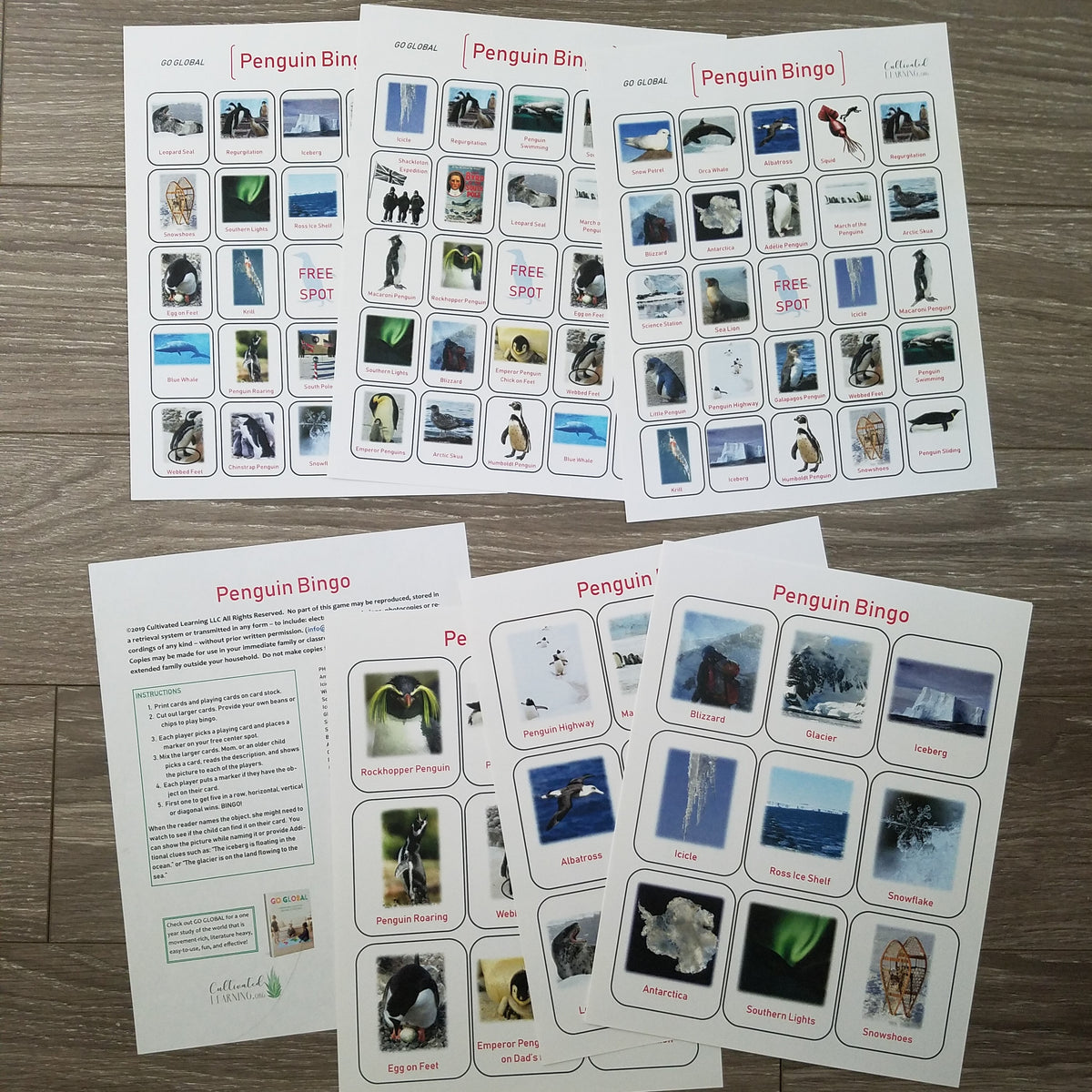 Penguin Bingo Game (GO GLOBAL) – Cultivated Learning Shop