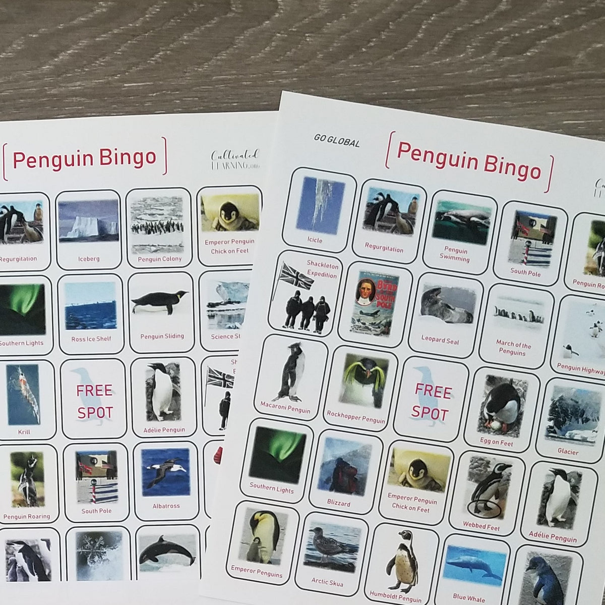Penguin Bingo Game (GO GLOBAL) – Cultivated Learning Shop